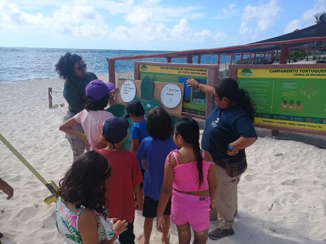 Niños de Akumal aprenden a cuidar tortugas con “Mamá Tortuga”