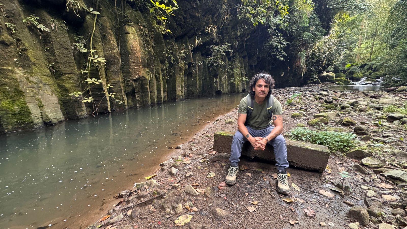 Bosque mesófilo de Teziutlán cobra nueva vida con proyecto de reserva ...